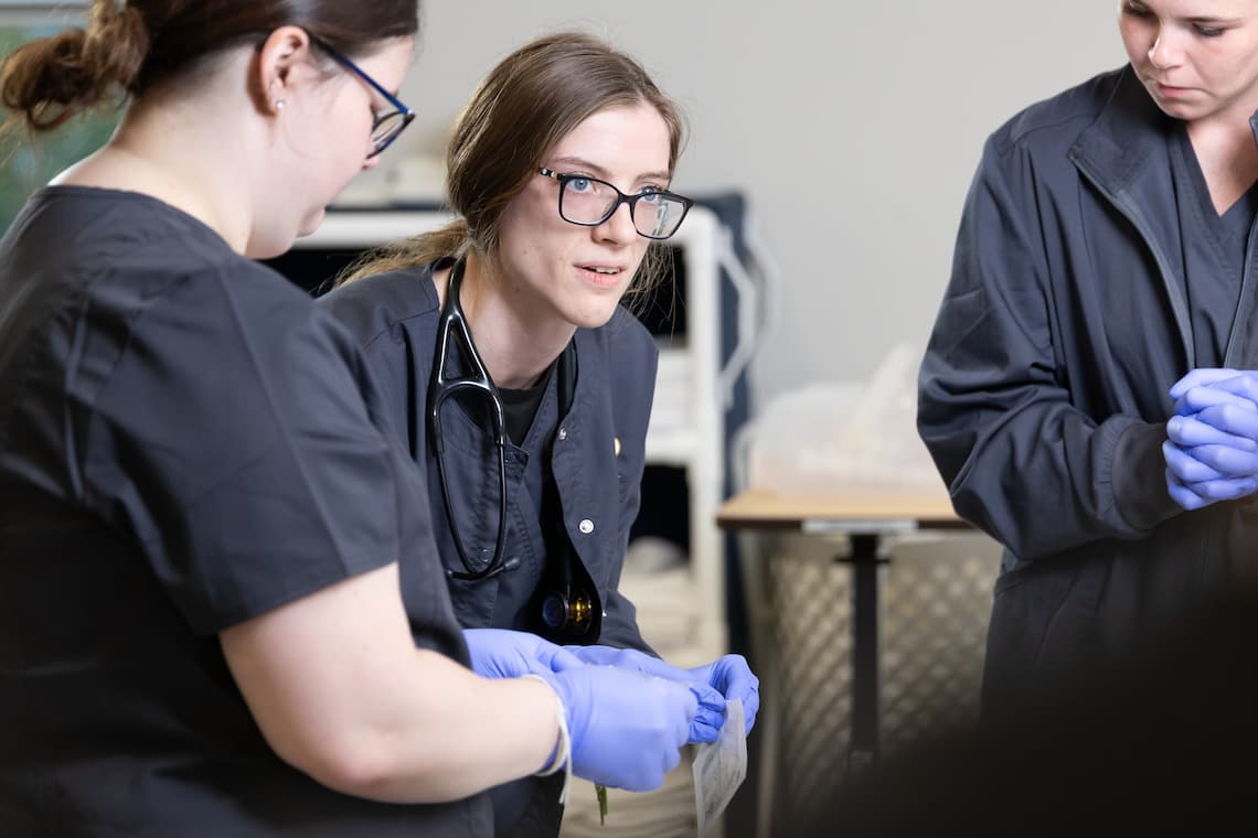 Nursing Pathways: Steps to Becoming a Nurse - CSP ABSN